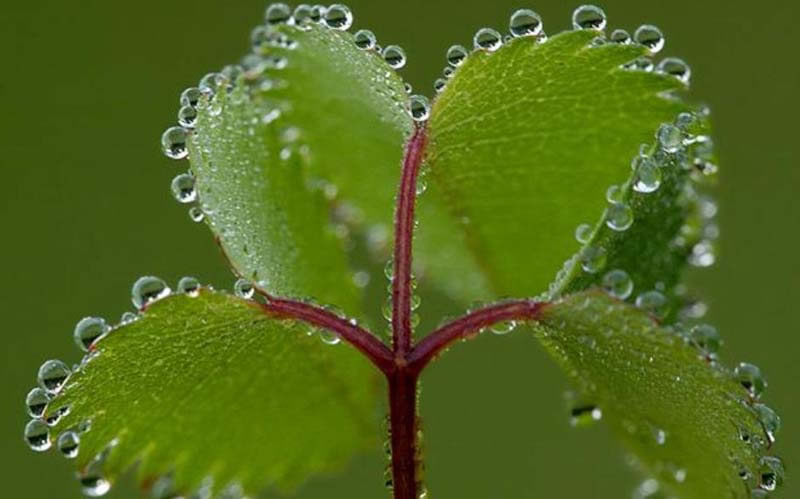 Hidatod / hidatod 1.jpg